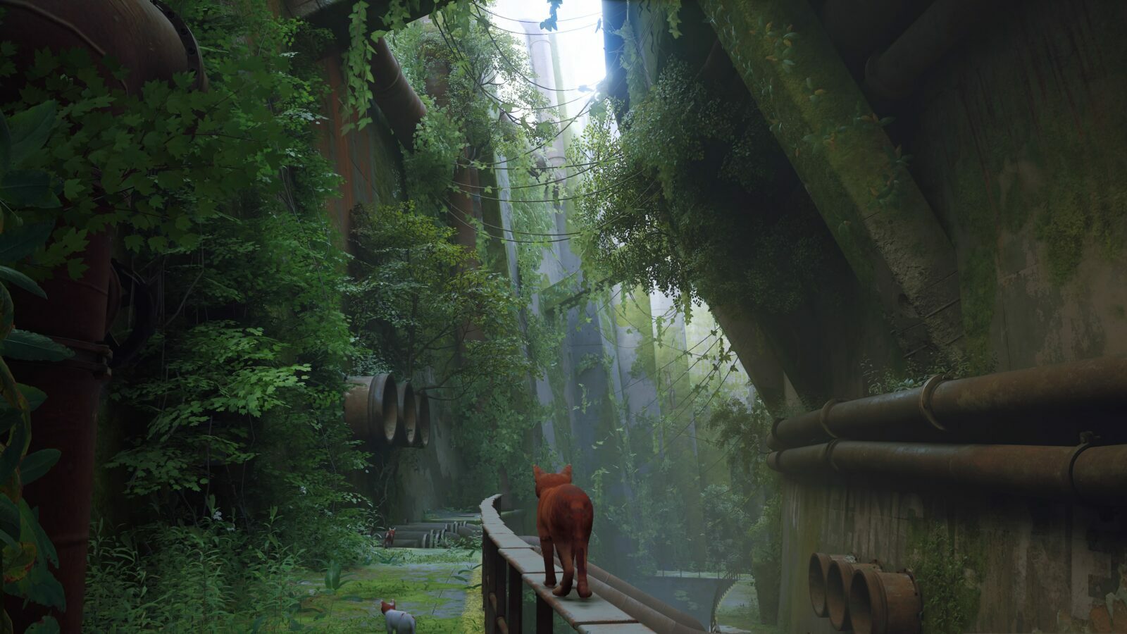 Stray – Test : Jeu d’aventure fainéant ou chef d’œuvre contemplatif ...